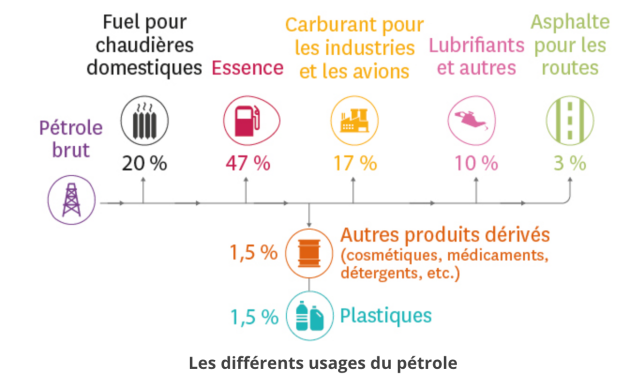 Quelles sont les ressources exploitées par l'Homme